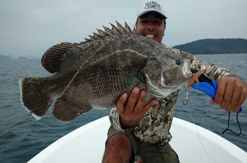 PREJEREBA: confira aqui um artigo exclusivo sobre o peixe. - Bóra Pescar