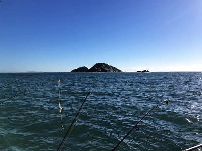MAR AZUL PESCARIA: venha pescar em Barra do Sul - SC! - Bóra Pescar