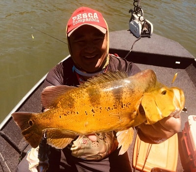 ALEX KOBA guia de pesca nas Represas de Igaratá e Paraibuna. - Bóra Pescar
