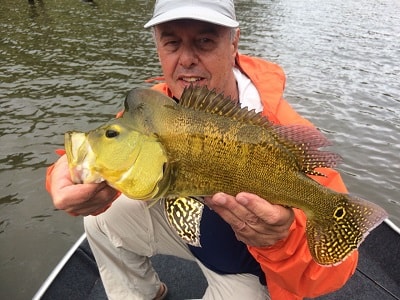 ALEX KOBA guia de pesca nas Represas de Igaratá e Paraibuna. - Bóra Pescar