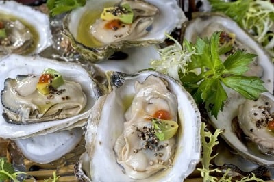 RESTAURANTE OSTRA VIVA: imperdível para quem gosta de comer bem - Bóra ...