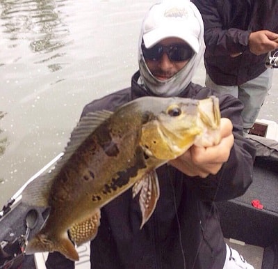 ALEX KOBA guia de pesca nas Represas de Igaratá e Paraibuna. - Bóra Pescar