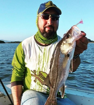 ROBALO OU CAMURIM: confira aqui um artigo exclusivo sobre o peixe ...