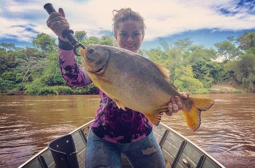 PACU: conheça mais sobre o peixe nessa exclusiva matéria. - Bóra Pescar