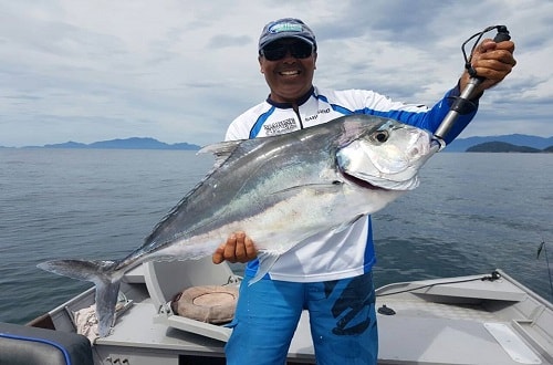 XARÉU BRANCO: confira aqui um artigo exclusivo sobre o peixe. - Bóra Pescar