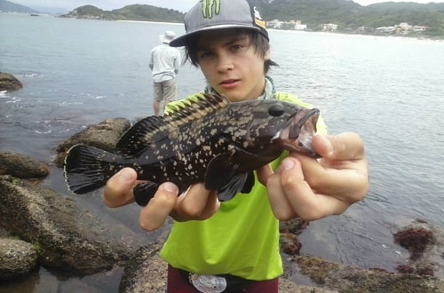 BADEJO MIRA: confira aqui uma matéria exclusiva sobre o peixe. - Bóra ...