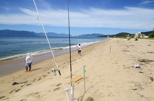 OS PEIXES MAIS COMUNS NA PESCA DE PRAIA - Bóra Pescar