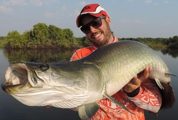 PIRARUCU: confira aqui uma matéria exclusiva sobre o peixe. - Bóra Pescar