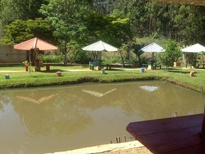 PESQUE E PAGUE ÁGUA LIMPA: excelente pesqueiro em Cristiano Otoni ...