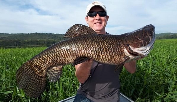 RANCHO SERRA DO CACHIMBO: venha pescar os trairões! - Bóra Pescar