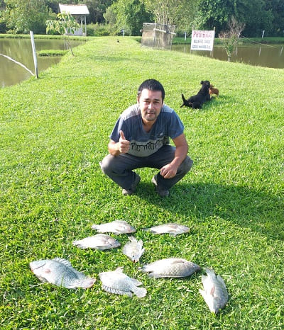 PAGUE E PESQUE BOBATO em São José dos Pinhais - PR - Bóra Pescar