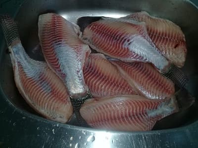 PAGUE E PESQUE BOBATO em São José dos Pinhais - PR - Bóra Pescar