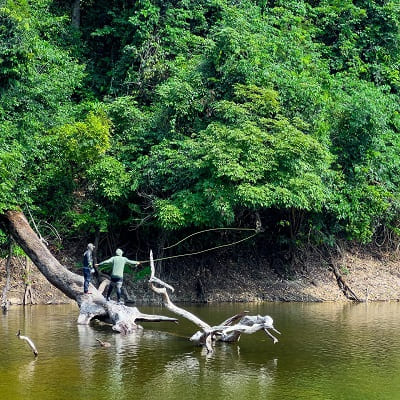 GUARIBA LODGE: exclusividade, privacidade, conforto e muitos peixes ...