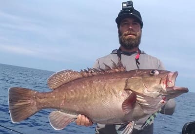 GUSTAVO GRANZOTE: guia de pesca em São Sebastião - SP - Bóra Pescar