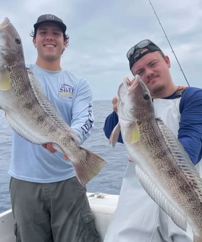 GUSTAVO GRANZOTE: guia de pesca em São Sebastião - SP - Bóra Pescar